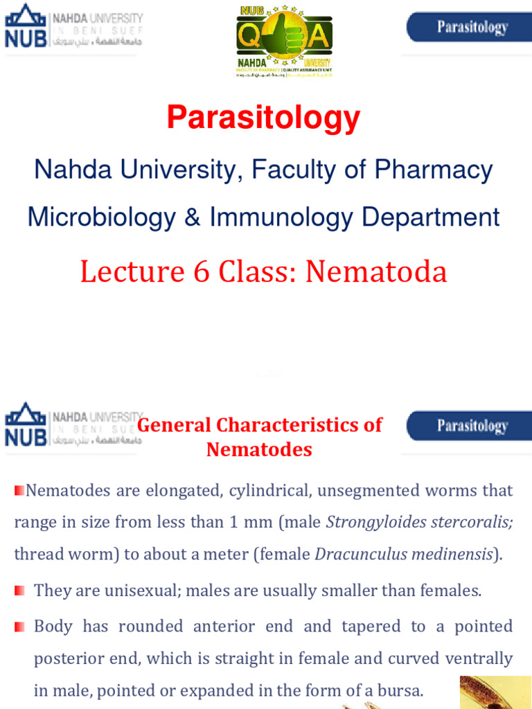 Lecture 6 2023 | PDF | Nematode | Gastroenterology