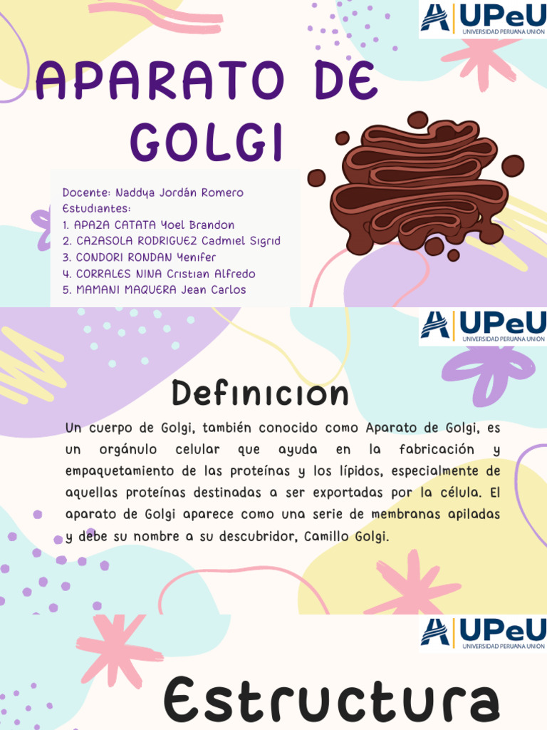 Aparato de Golgi: Funciones y Estructura | PDF | Retículo endoplásmico | Biofísica