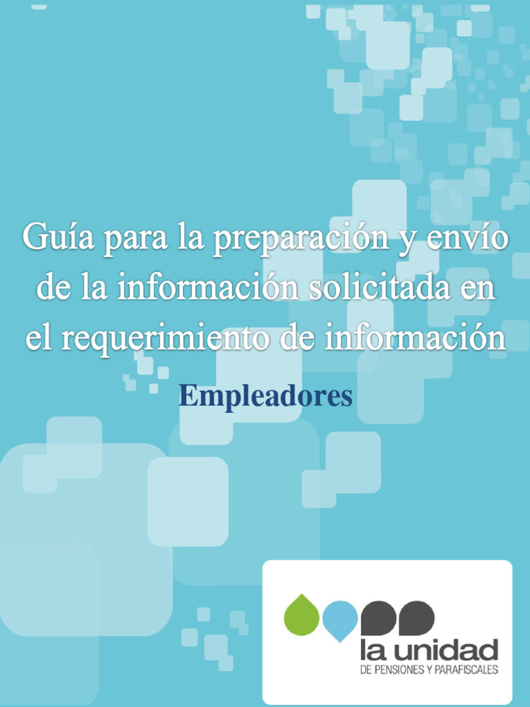 Guia Preparacion y Envio de Informacion RI Empleadores V18.0 | PDF | Archivo de computadora ...
