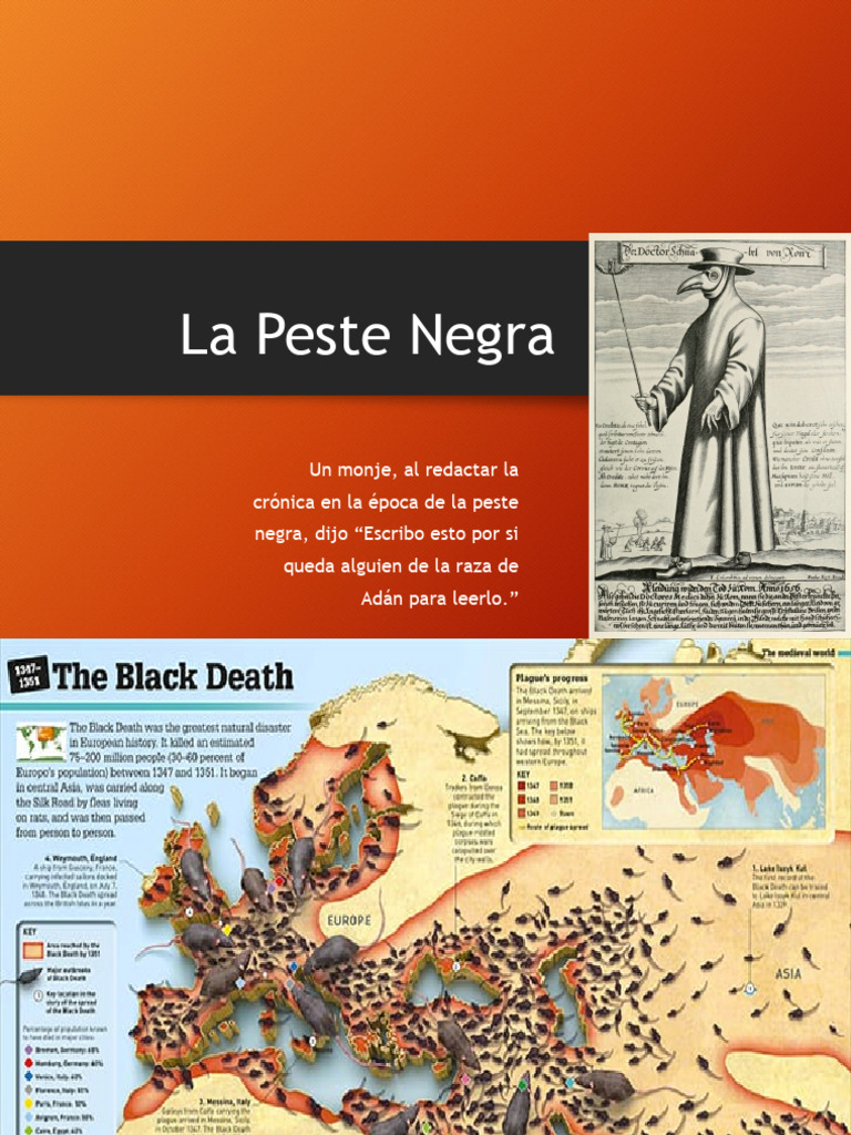 Origen y consecuencias de la Peste Negra | PDF | Muerte negra