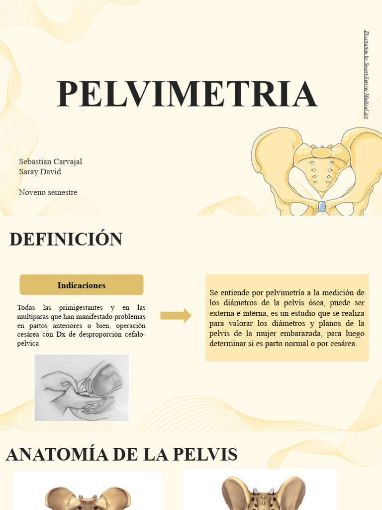 EXPOSICIÓN PELVIMETRIA | PDF | Pelvis | Sistema musculoesquelético