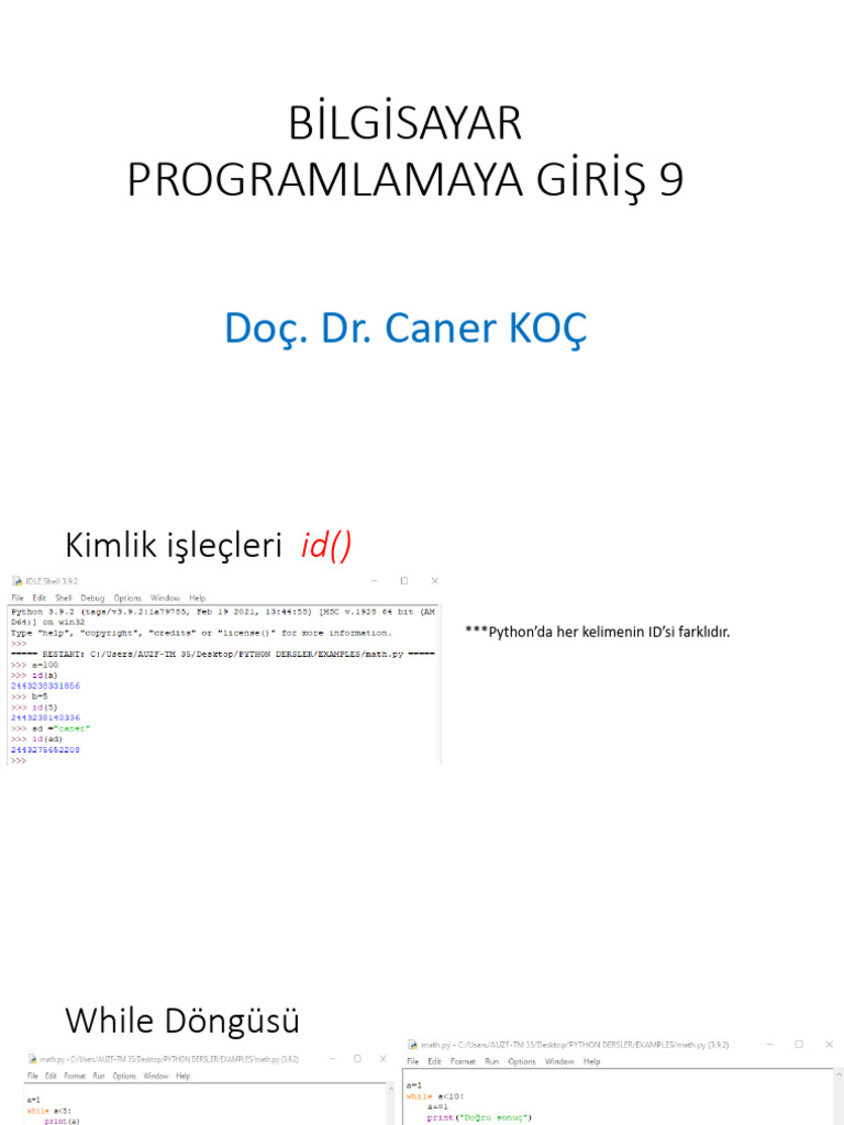 Bi̇lgi̇sayar Programlamaya Gi̇ri̇ş 9 | PDF
