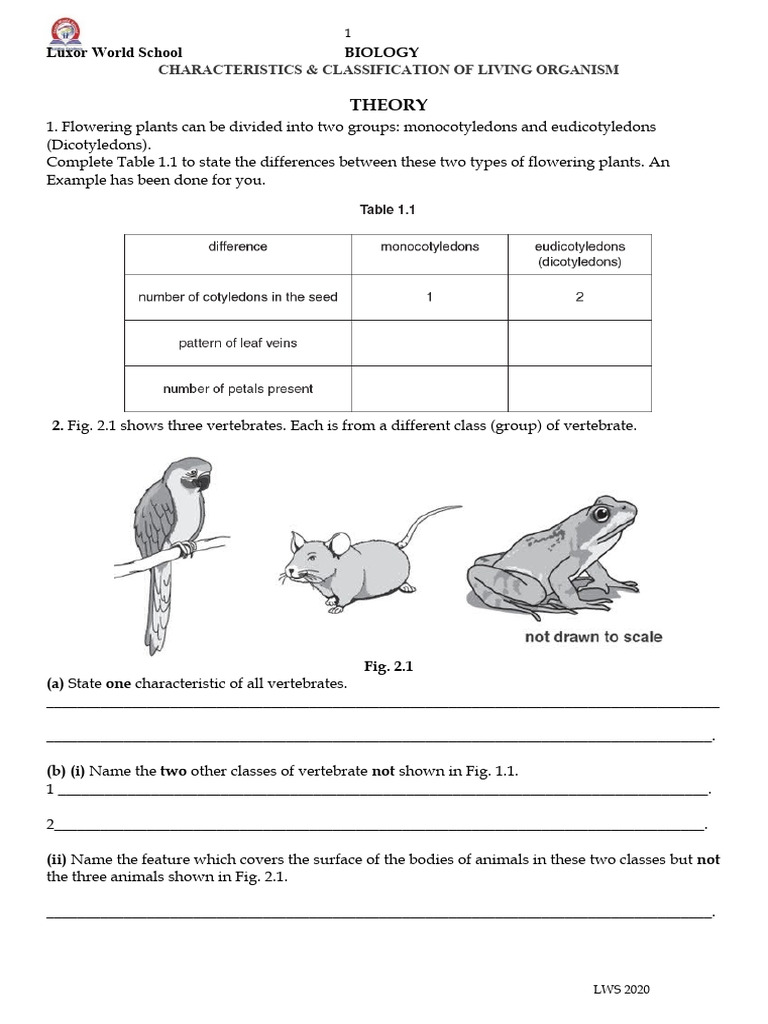 Classification Theory QP | PDF | Mammals | Reptile