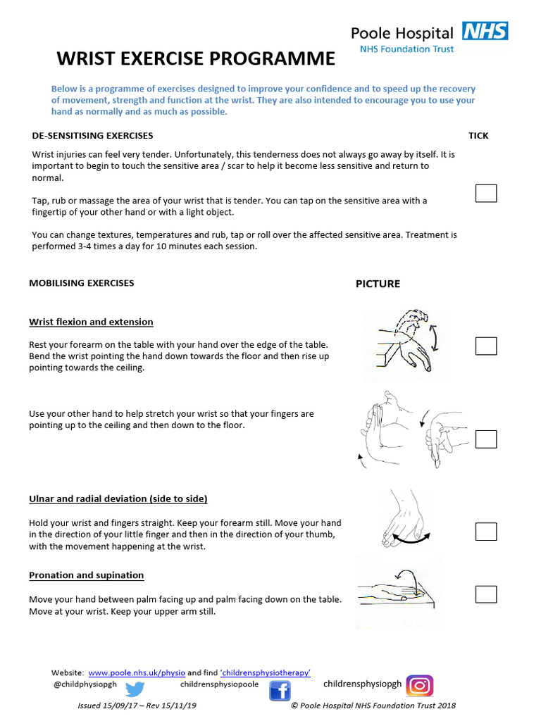 Radial nerve Rehab program exercise recover | PDF | Anatomical Terms Of ...