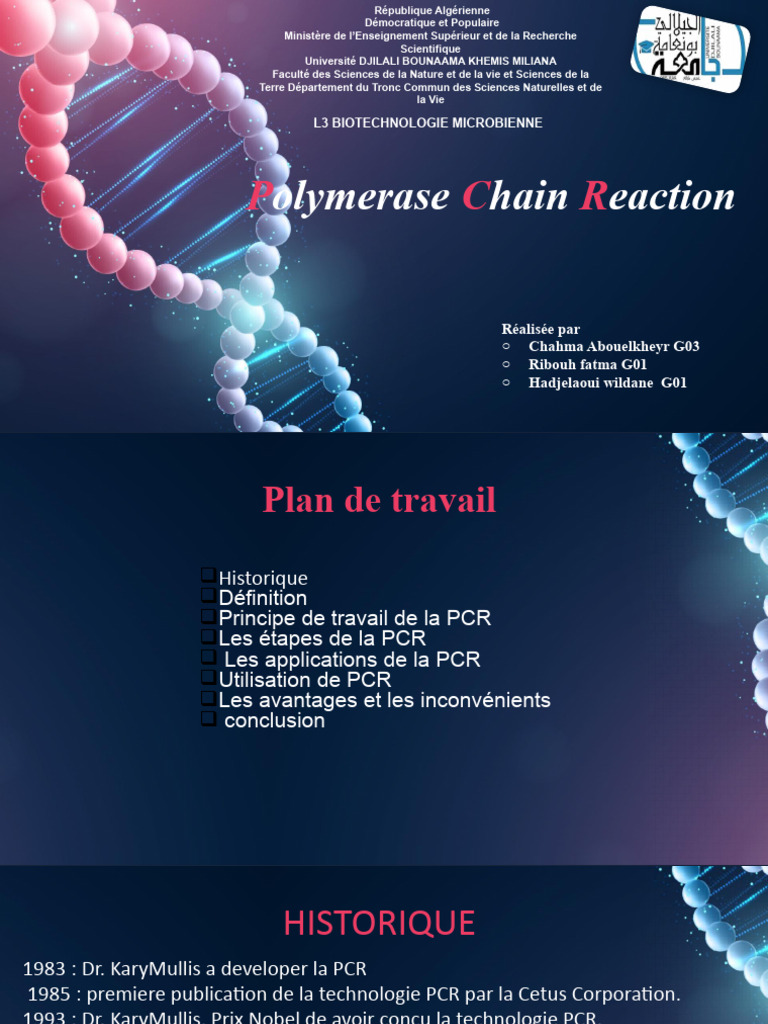 Polymerase Chain Reaction (PCR) | PDF | Réaction en chaîne par ...