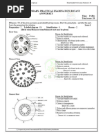 Physics Grade 12 Formula Sheet | PDF | Mass | Electronvolt