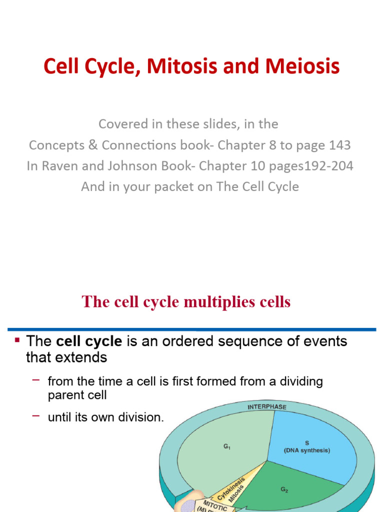 Cell Cycle, Mitosis and Meiosis | Download Free PDF | Meiosis | Cell Cycle