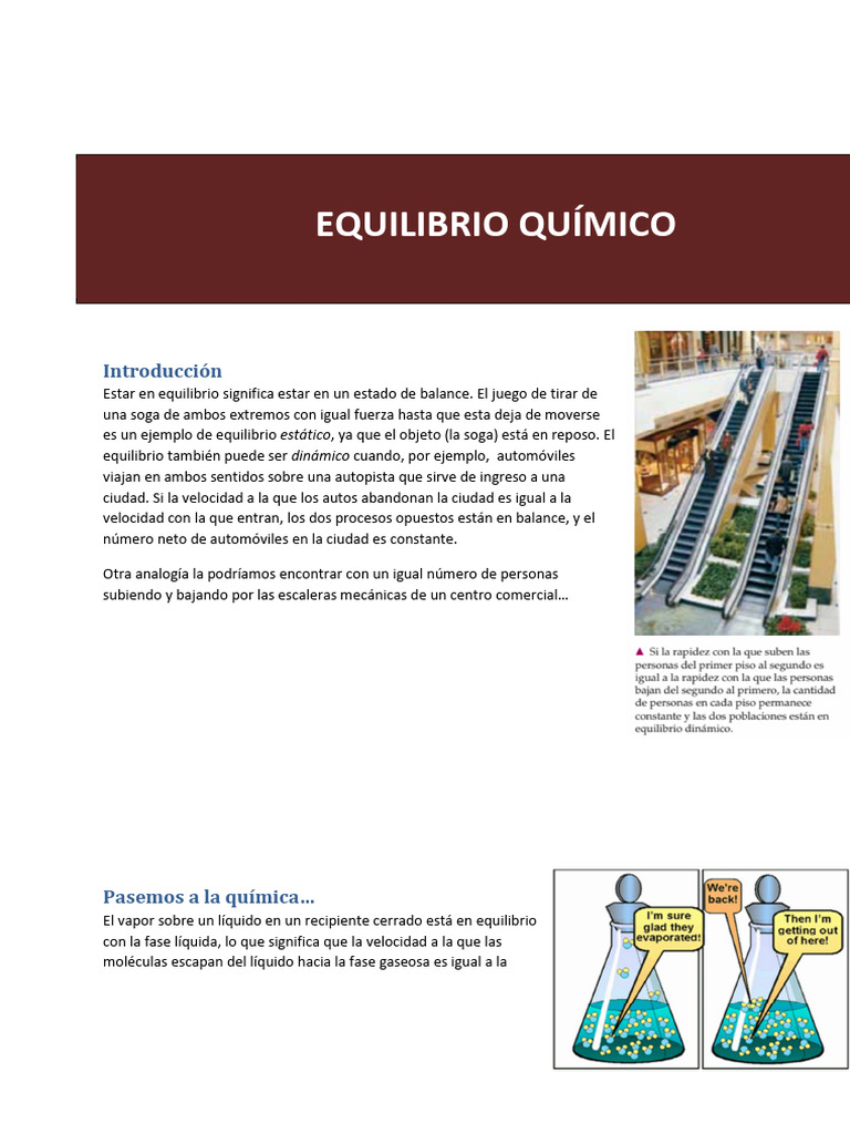 Teoría Equilibrio Químico Prof. Lenaertsv2 y Ejercicios | PDF | Equilibrio químico | Reacciones ...