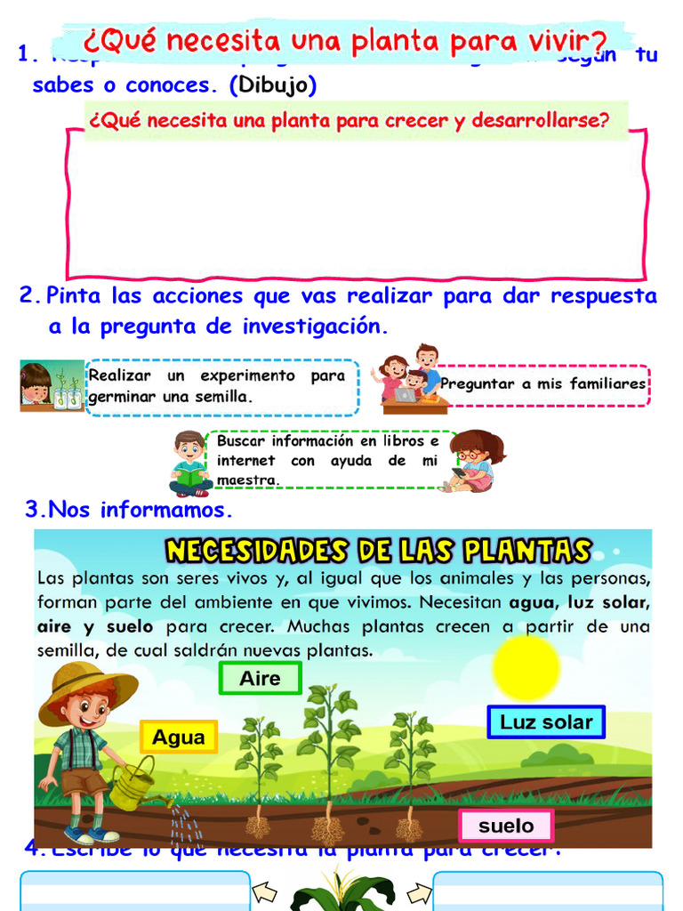 FICHA ¿QUÉ NECESITA UNA PLANTA PARA VIVIR | PDF