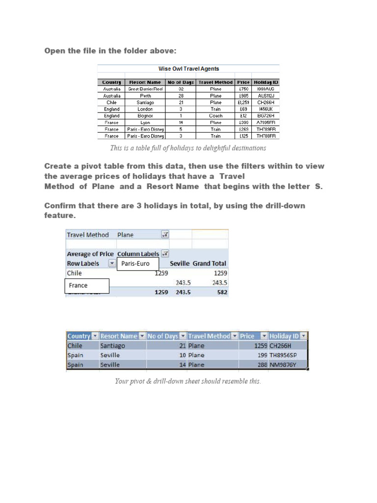 Pivot Table Task Pdf