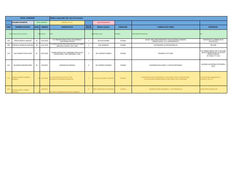 CENSO 14 08 2023 HC | PDF | Epidemiología | Enfermedades y trastornos