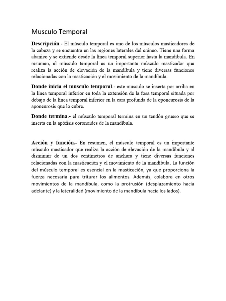 Musculo Temporal | PDF