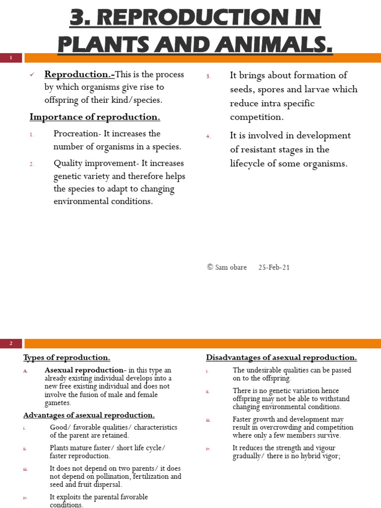 Reproduction | PDF | Meiosis | Flowers