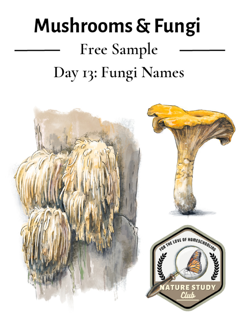 Freebie Day 13 Fungi Names | PDF | Mushroom | Fungus