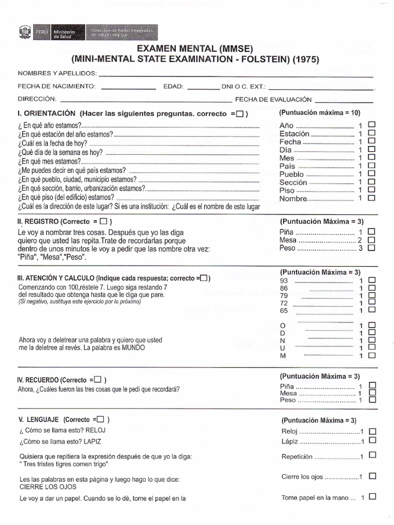 j. (1) (MINI-MENTAL) EXAMEN MENTAL (MMSE MINI-MENTAL STATE EXAMINATION ...