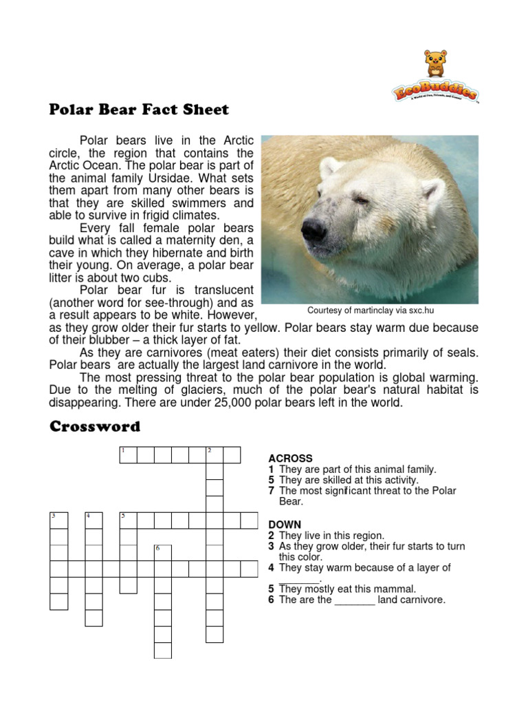 Polar Bear Wordsheet and Activity Sheet | PDF