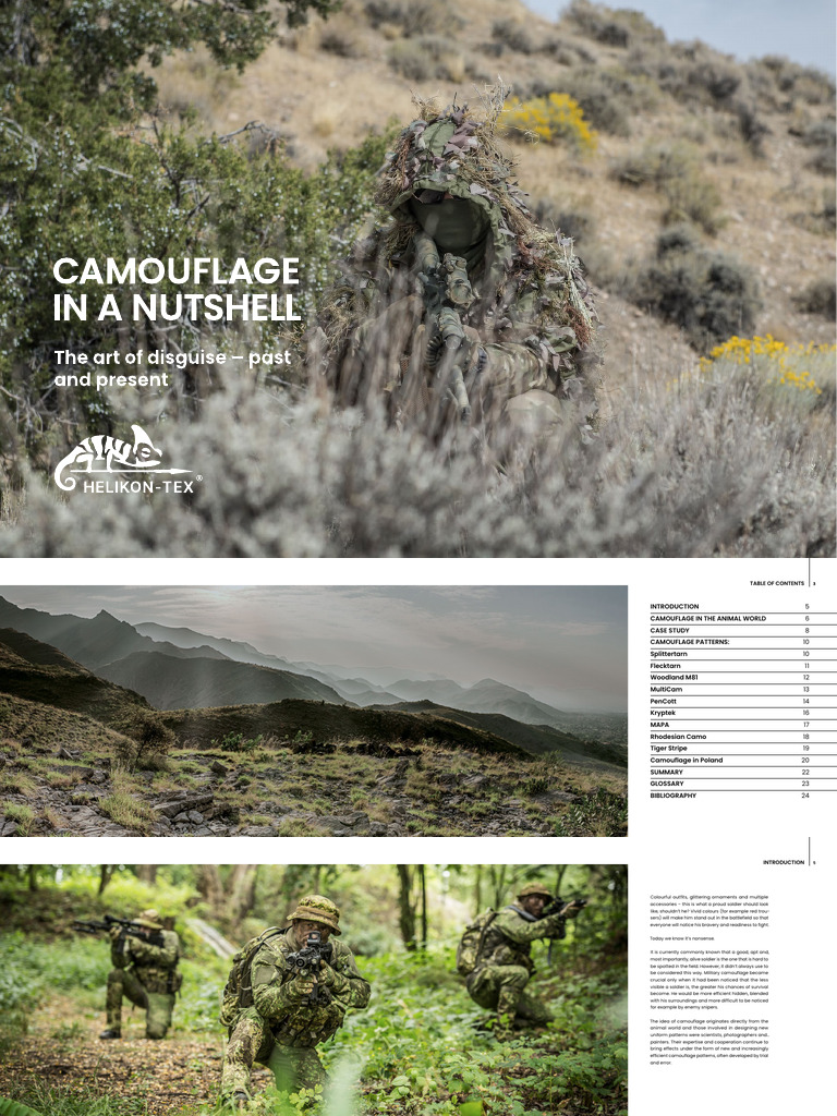 Camouflages in A Nutshell | PDF | Camouflage