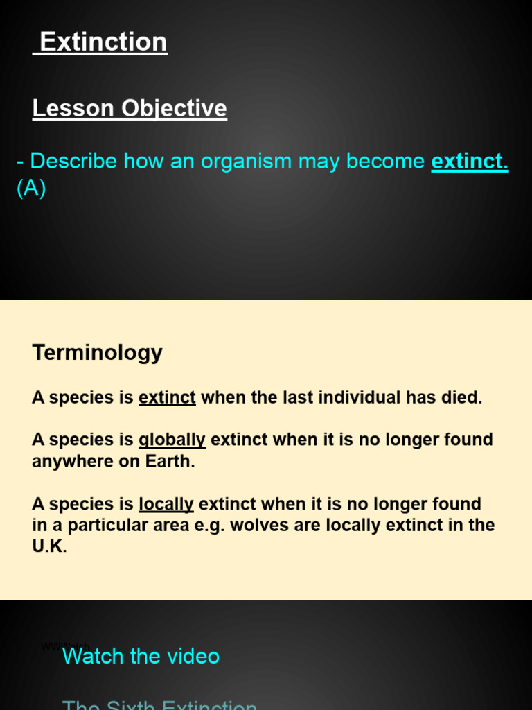 Lesson 2 - Extinction | PDF | Extinction | Ecology