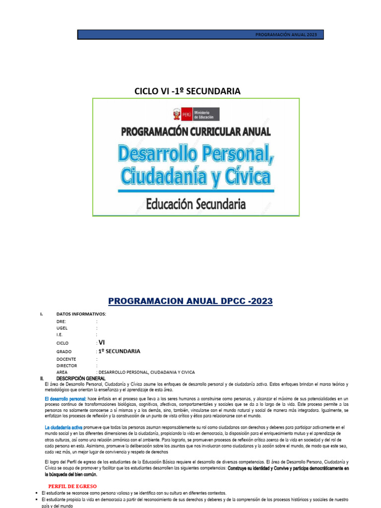 1° PROGRAMACION ANUAL 2023 | PDF | Evaluación | Aprendizaje