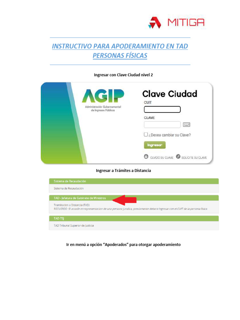 Instructivo Para Apoderamiento en Tad | PDF