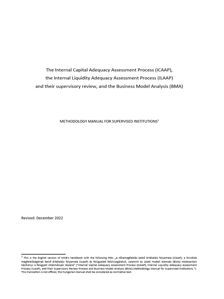 ICAAP and ILAAP Methodology Manual | PDF | Capital Requirement | Risk