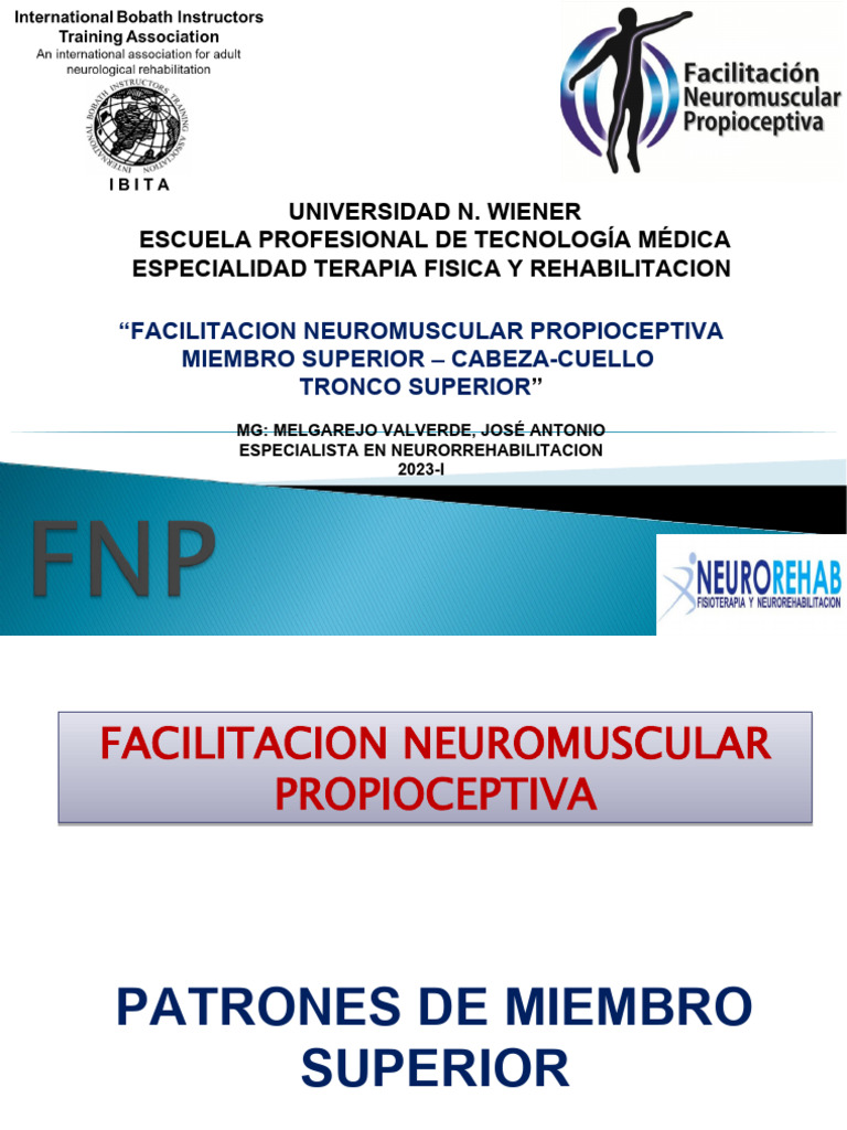 FNP CLASE 3 - FT en Neurologia - 2023-I Actualizado | PDF | Términos ...