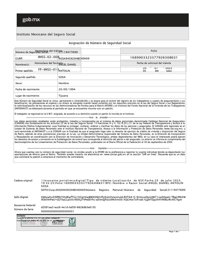 Comprobante NSS | PDF | Gobierno