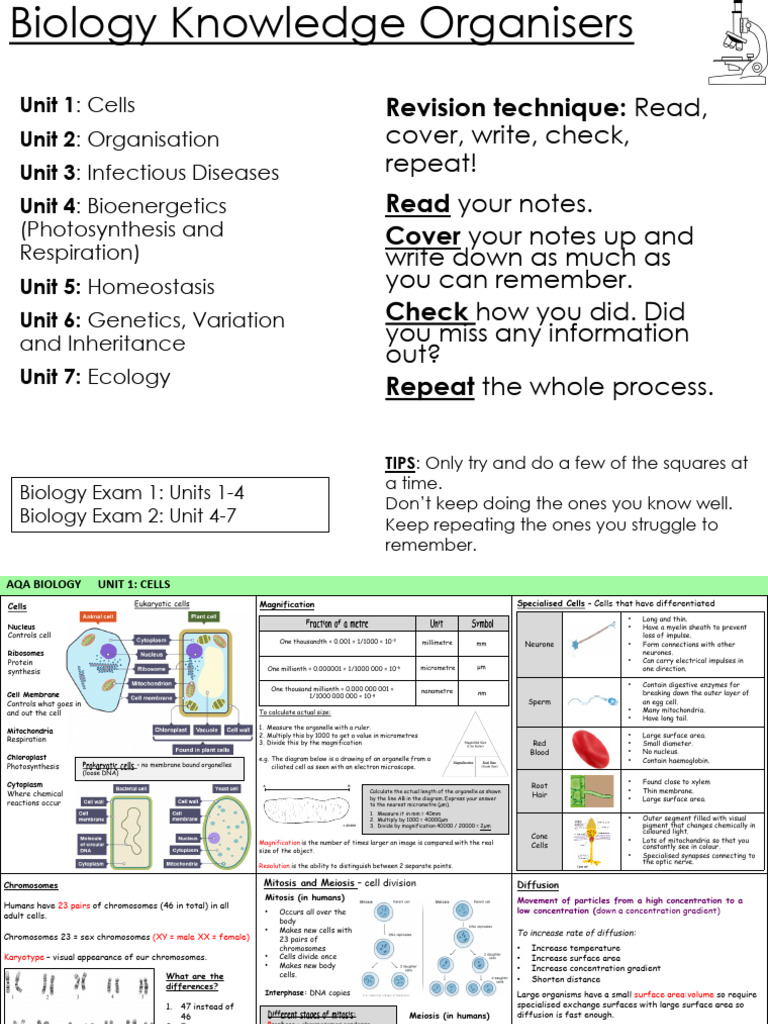 Biology Knowelege Organisers (7) .195577238 | PDF | Heart | Leaf