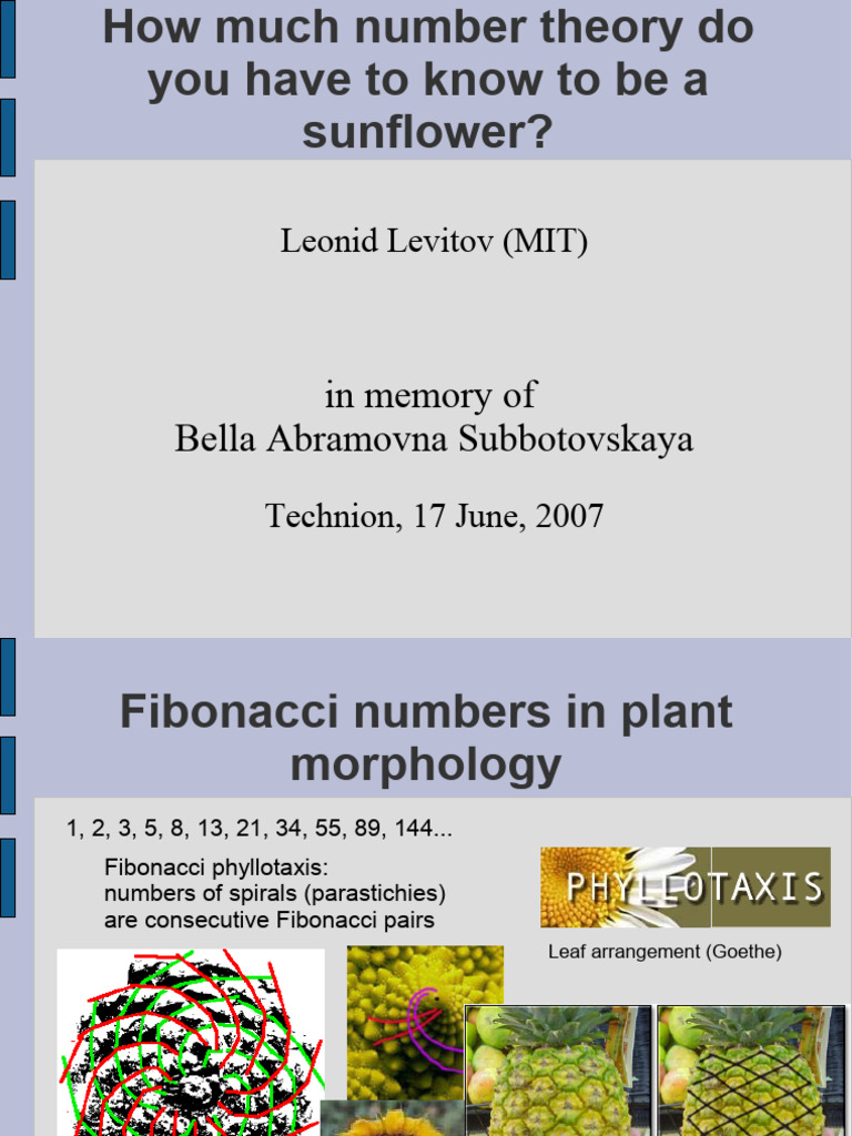 Fibonacci Phyllotaxis | PDF | Physics | Mathematics