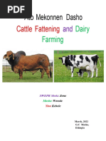 Project Proposal For Cattle and Goat Fattening and Dairy Farm (Final ...