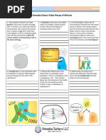 Amoeba Sisters Meiosis Overview | PDF | Meiosis | Chromosome