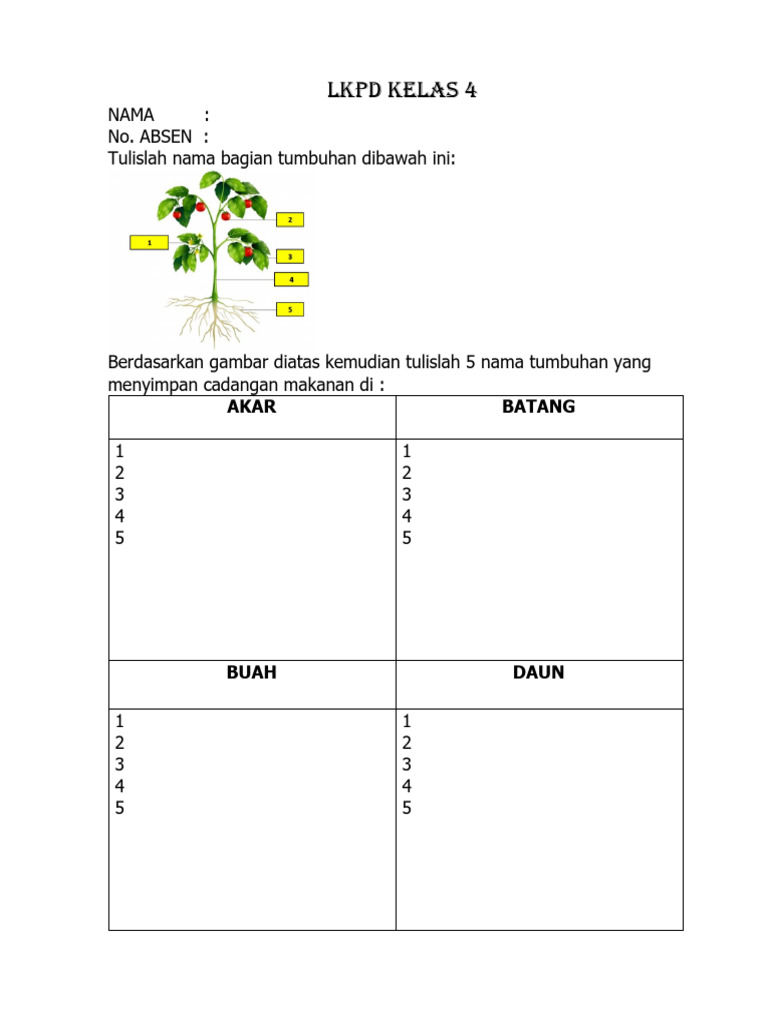Penilaian Ipas Kelas 4 | PDF