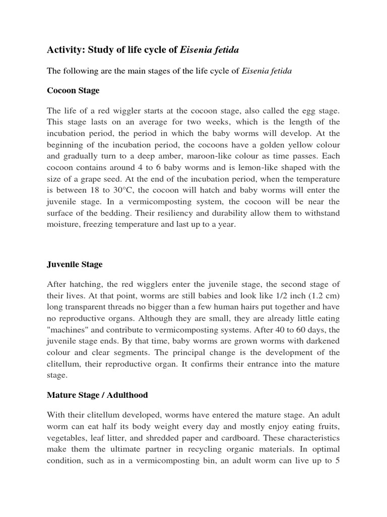 Life Cycle Of Eisenia Fetida Pdf