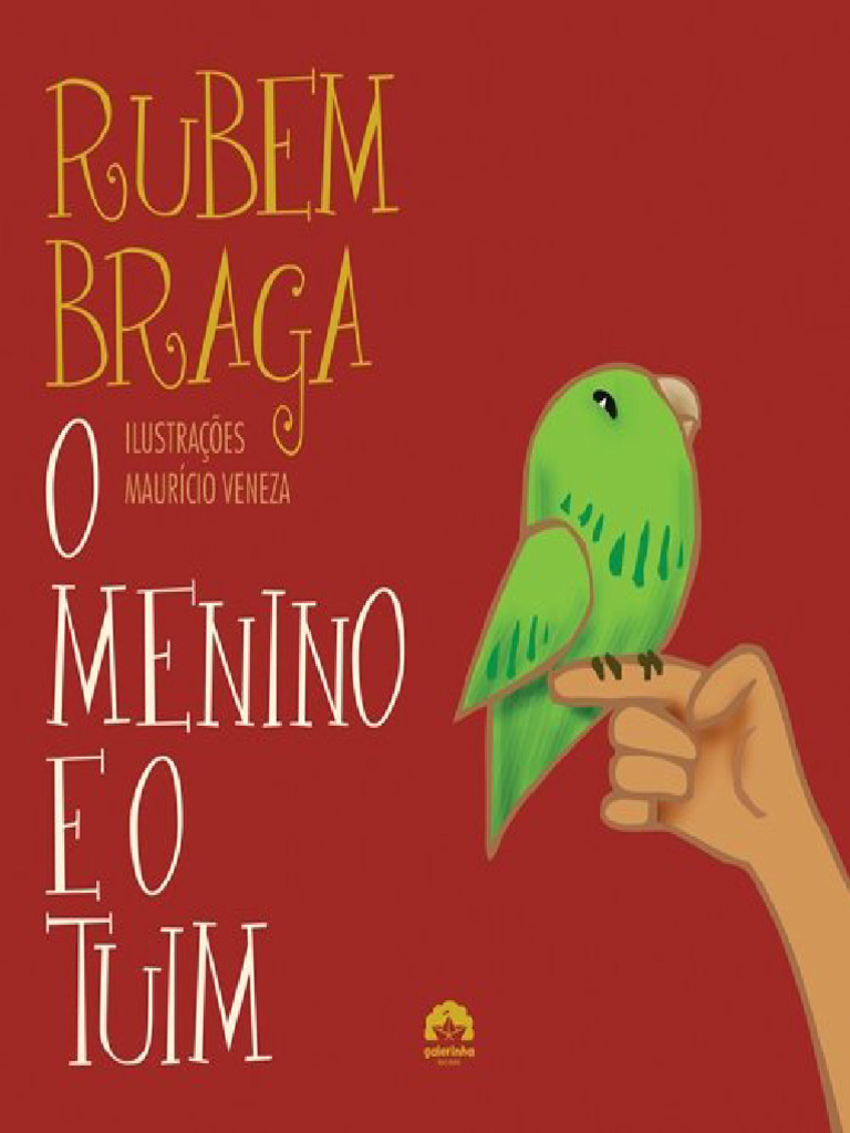 Resumo o Menino e o Tuim Rubem Braga | PDF