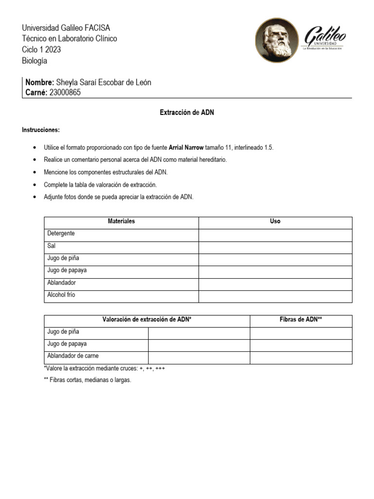 Reporte - Extracci - N ADN | PDF | Adn | Proteínas
