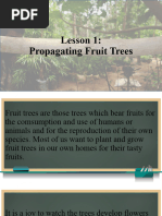 Bridges Without Rivers | PDF