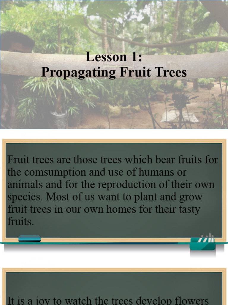 Lesson 1 - Propagating Fruit Trees | PDF | Trees | Seed
