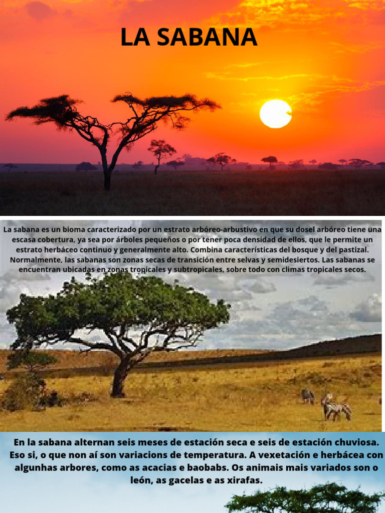 La Sabana | PDF