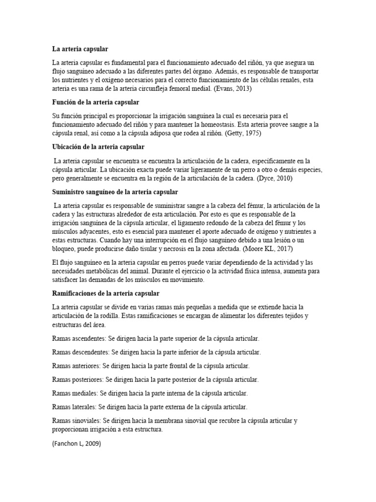 Arterias Capsulares Medias | PDF | Artería | Sangre