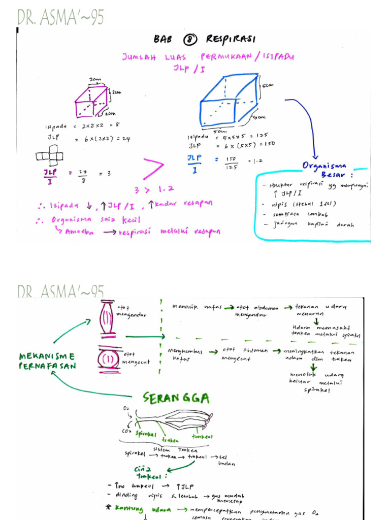 Bio F4 KSSM Bab 8 | PDF