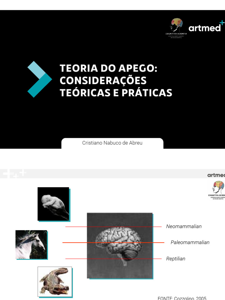 Teoria Do Apego_Cristiano Nabuco | PDF | Teoria do Apego | Amor