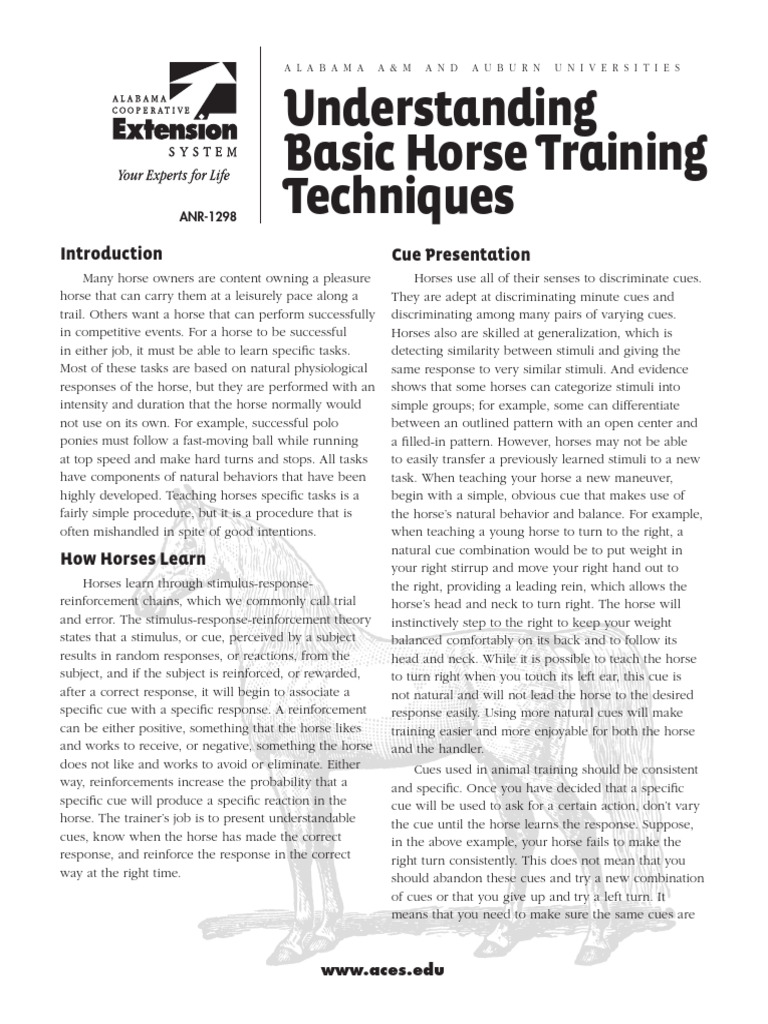 Basic Horse Training Techniques ANR 1298 | PDF | Reinforcement | Animal ...