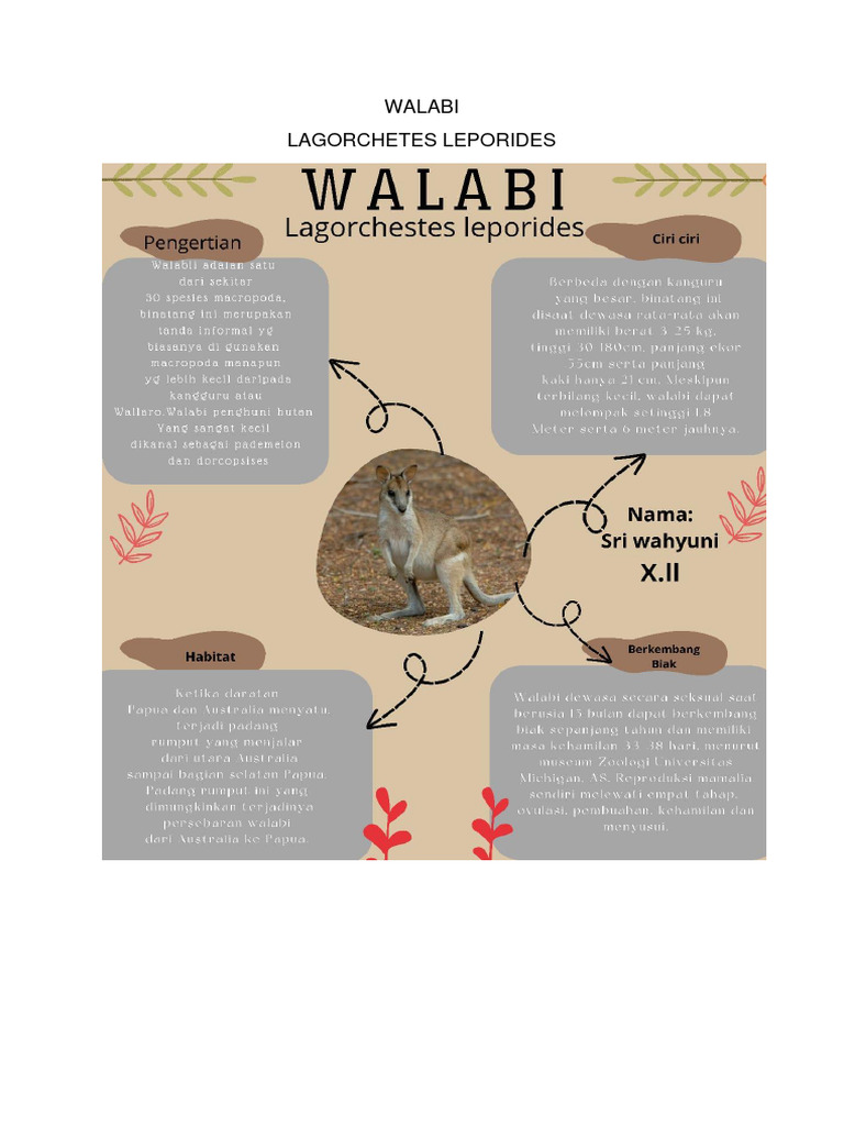 Fakta Unik dan Habitat Walabi | PDF