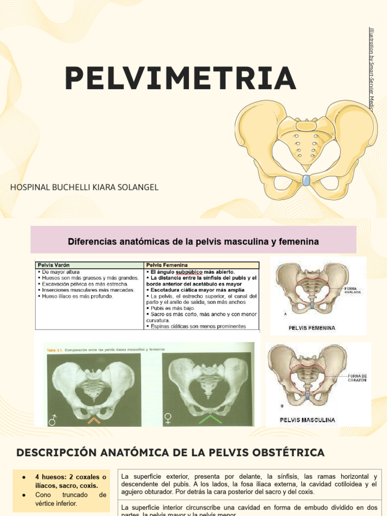 Pelvimetria Diapos | Descargar gratis PDF | Pelvis | Sistema ...