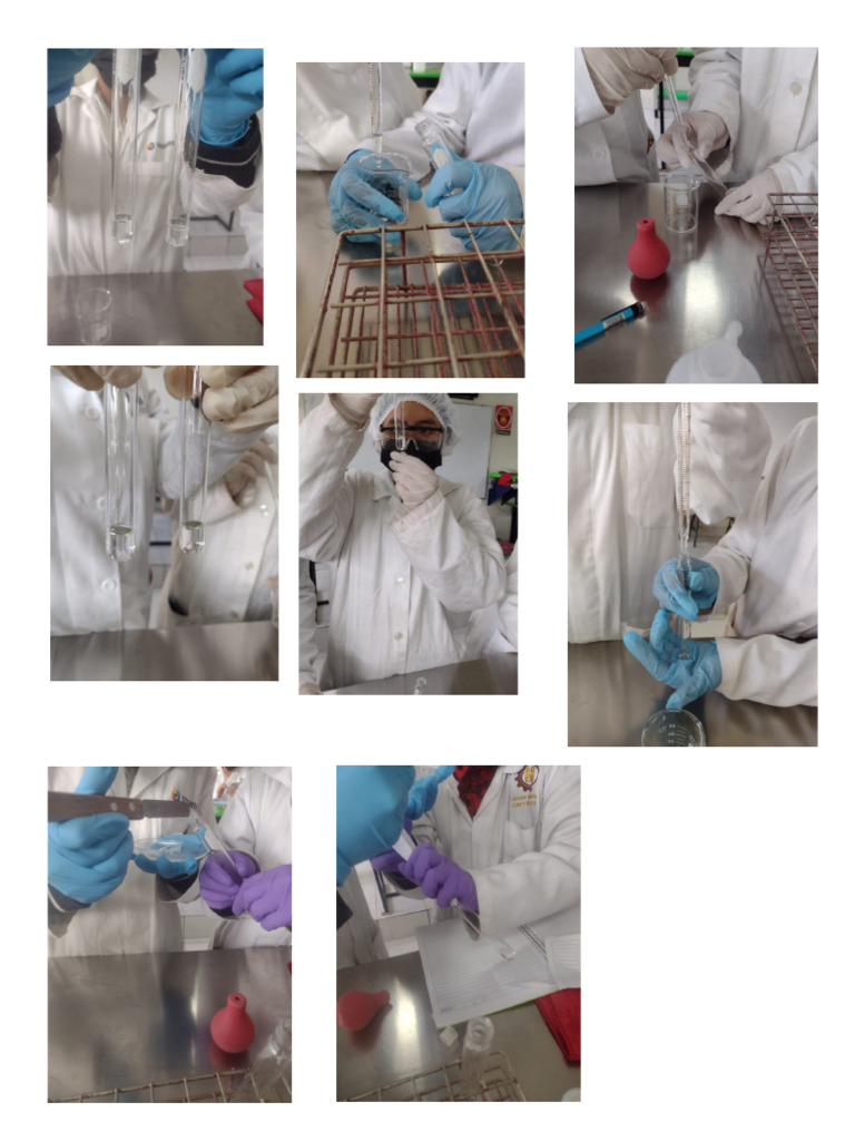 Practica 1 SM2 | PDF