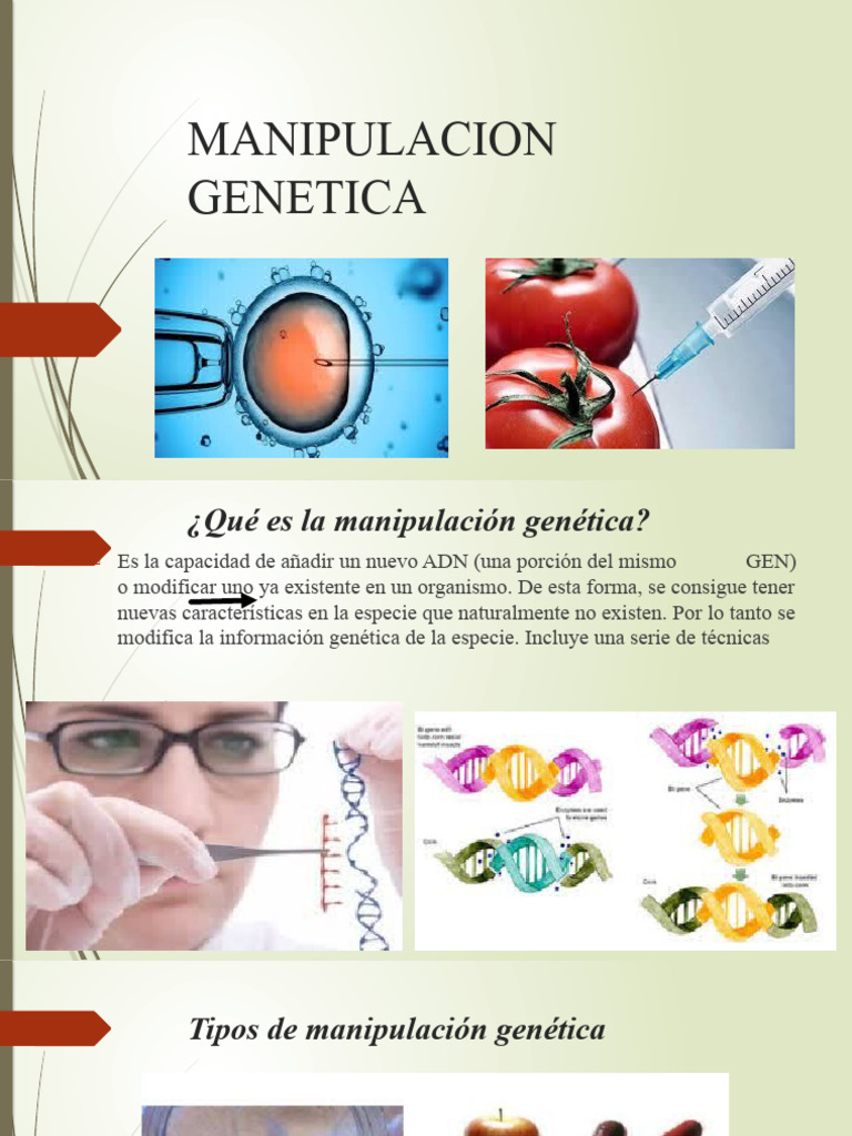 Manipulacion Genetica | PDF