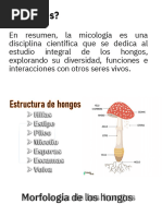 Hongos Descomponedores y su Importancia | PDF | Hongo | Descomposición