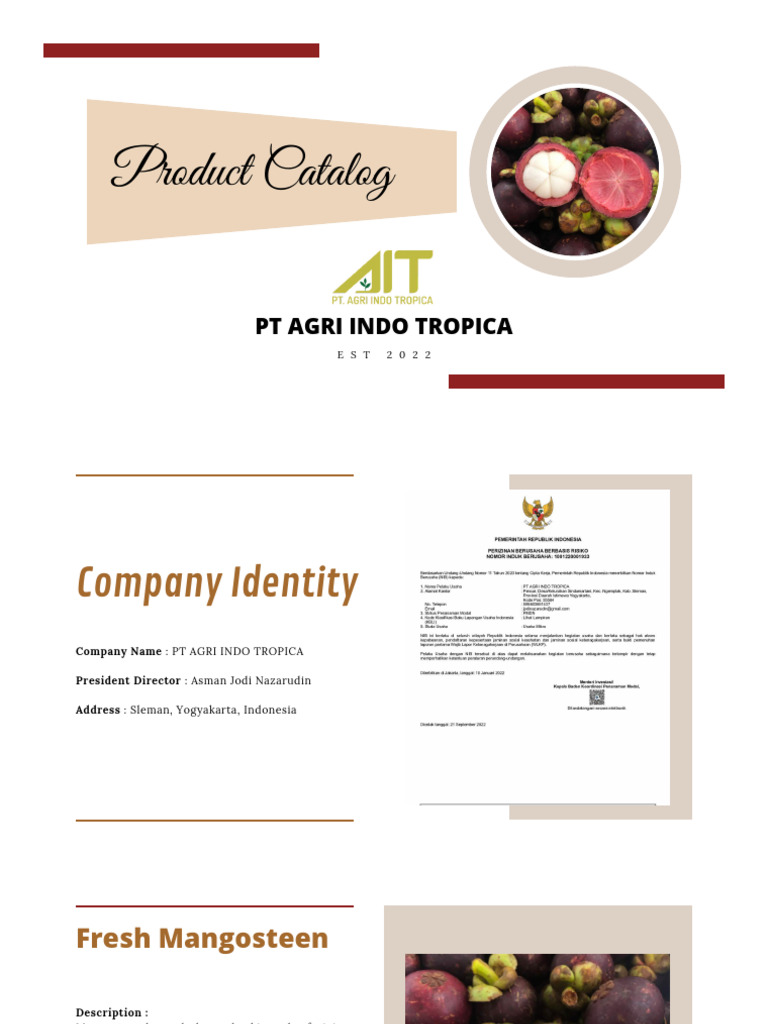 Product Catalog of PT Agri Indo Tropica | PDF | Food And Drink | Foods