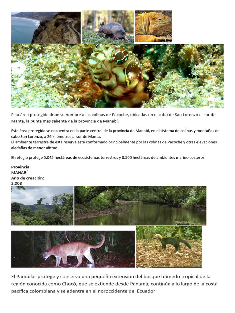 Reservas Pambilar y Pacoche | PDF | Ecuador | Ciencias de la Tierra