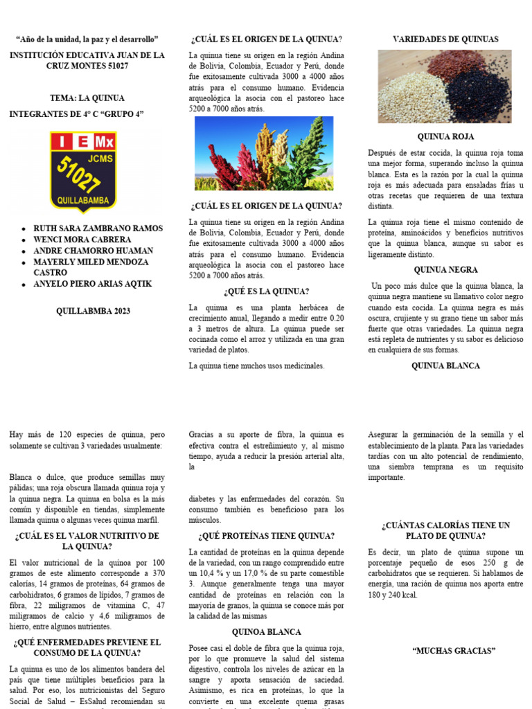 La Quinua: Origen y Beneficios Nutricionales | PDF | Quinua | Alimentos
